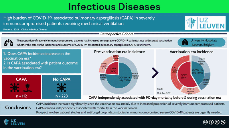 Free Graphical Abstract Maker | Tidbit